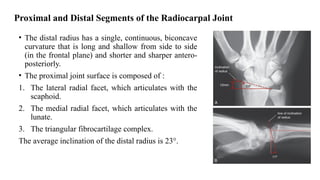 The Wrist and Hand Complex Biomechanics.pptx