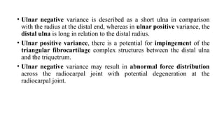 The Wrist and Hand Complex Biomechanics.pptx