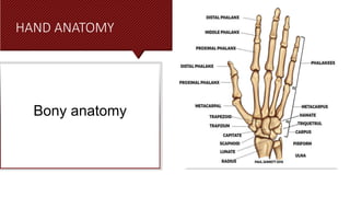 Wrist and hand disordes....5 th stage [dr.farouk | PPTX