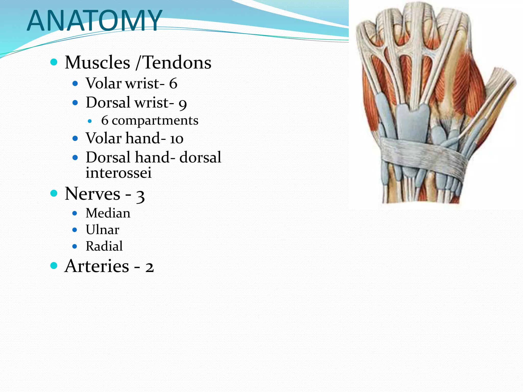 Wrist and hand examination | PPTX