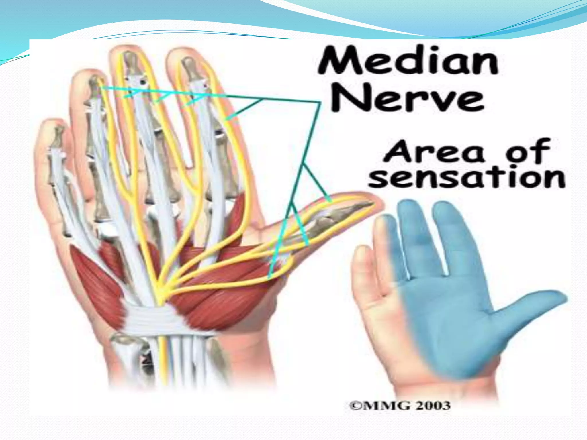 Wrist and hand examination | PPTX