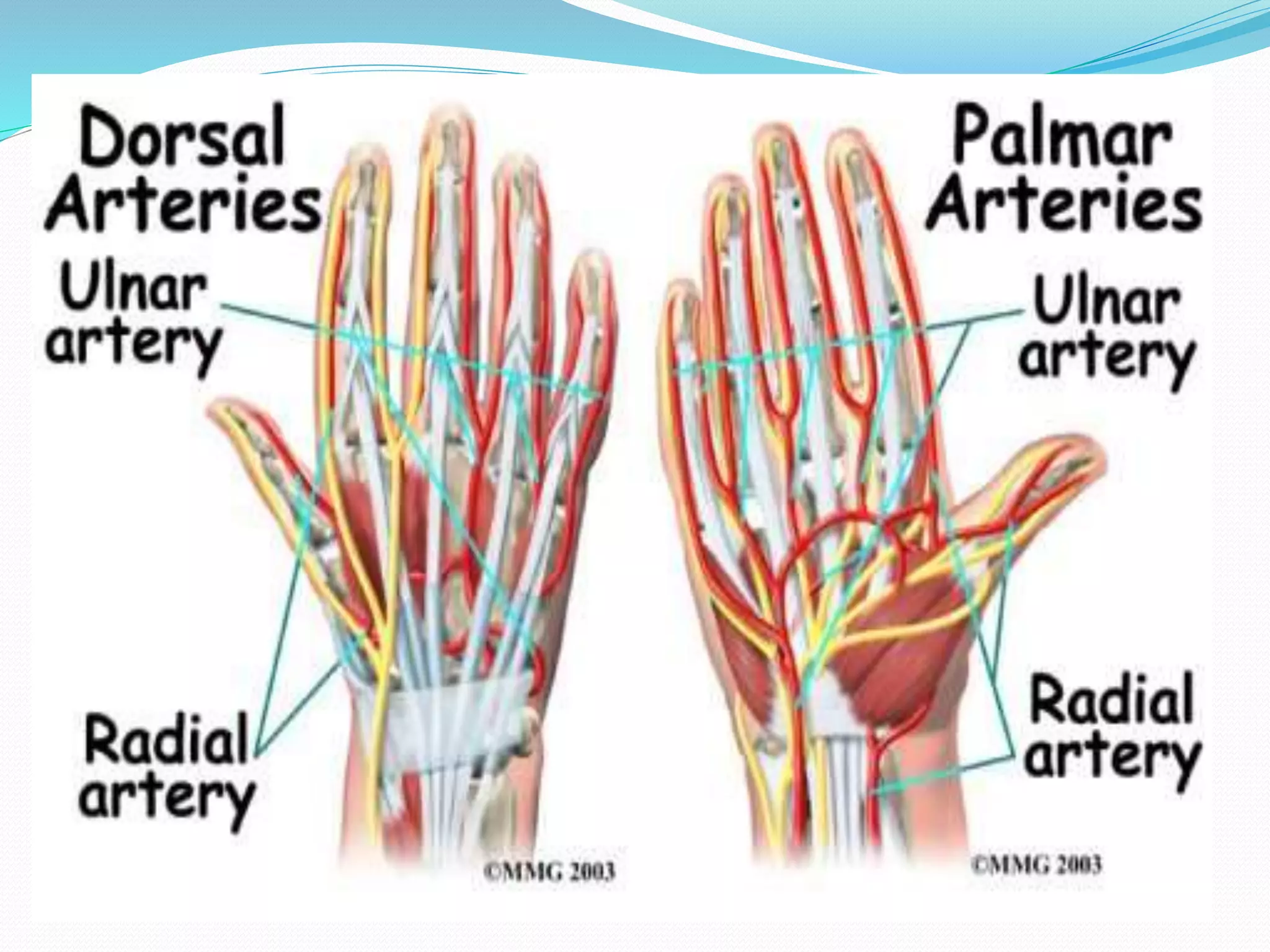 Wrist and hand examination | PPTX