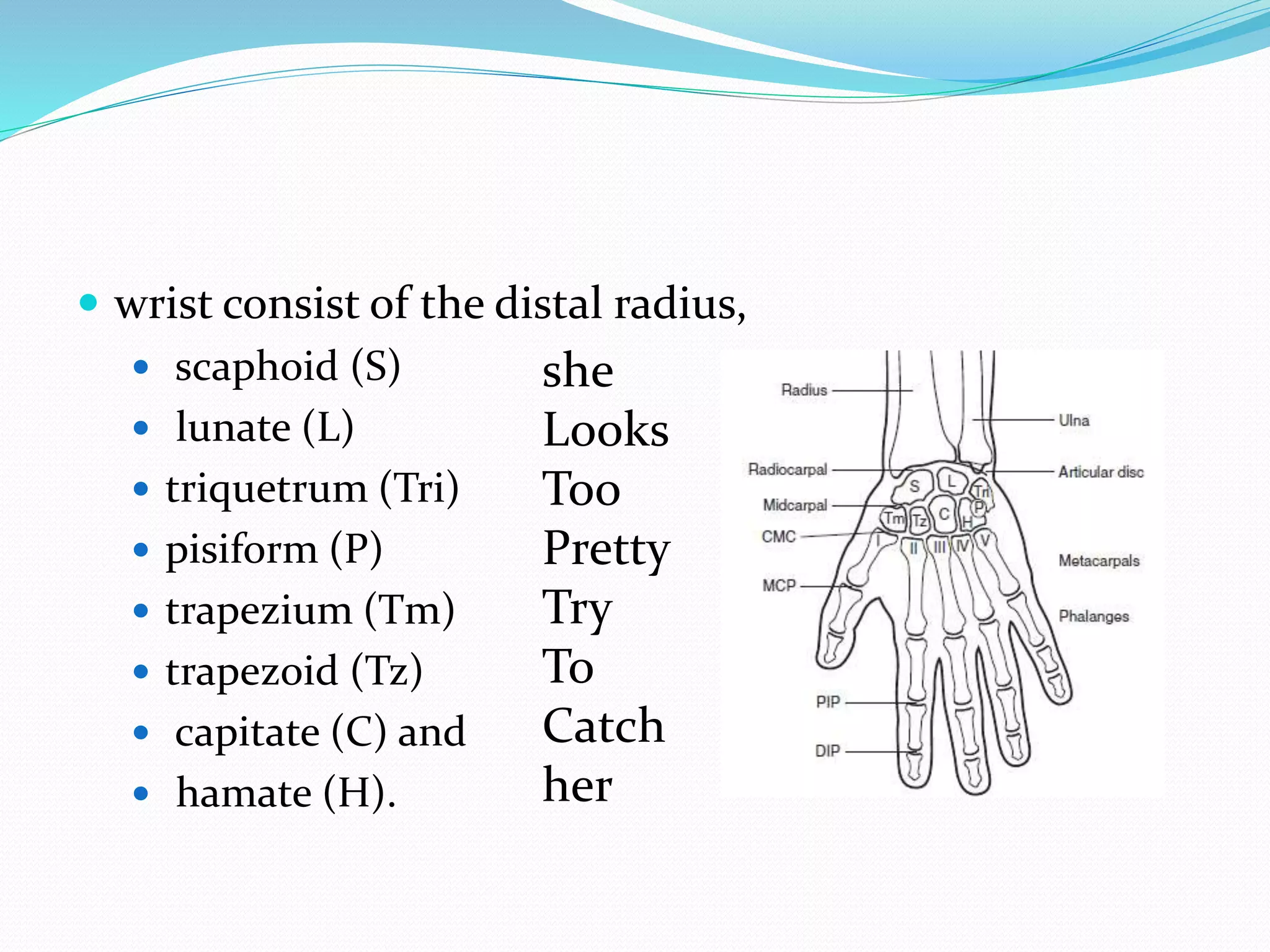 Wrist and hand examination | PPTX