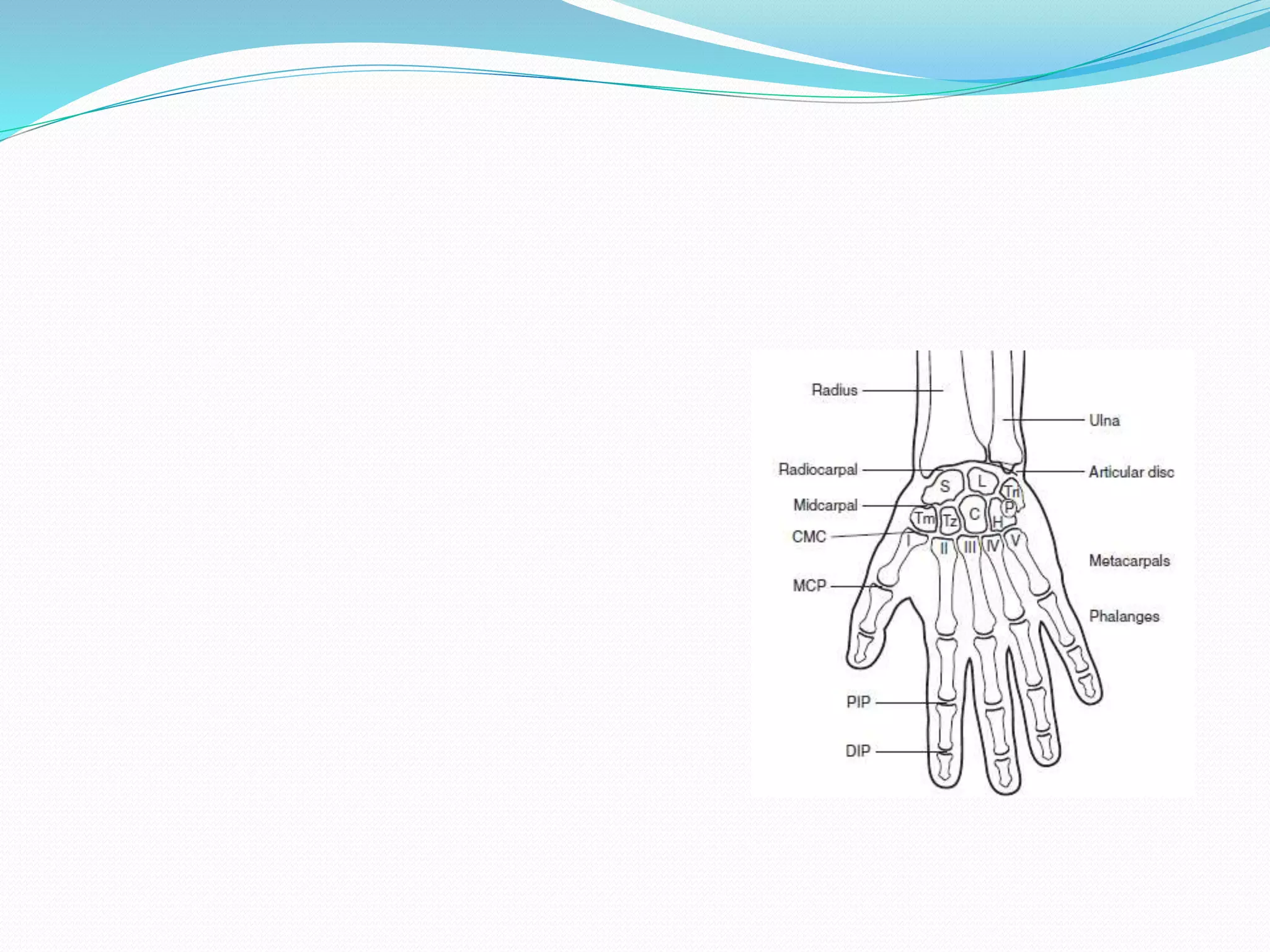 Wrist and hand examination | PPTX