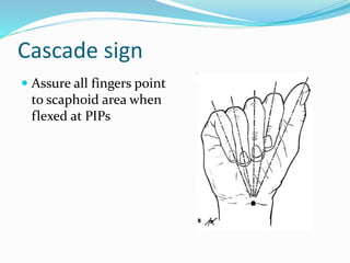 Wrist and hand examination | PPTX