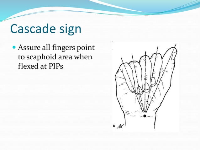 Wrist and hand examination | PPTX
