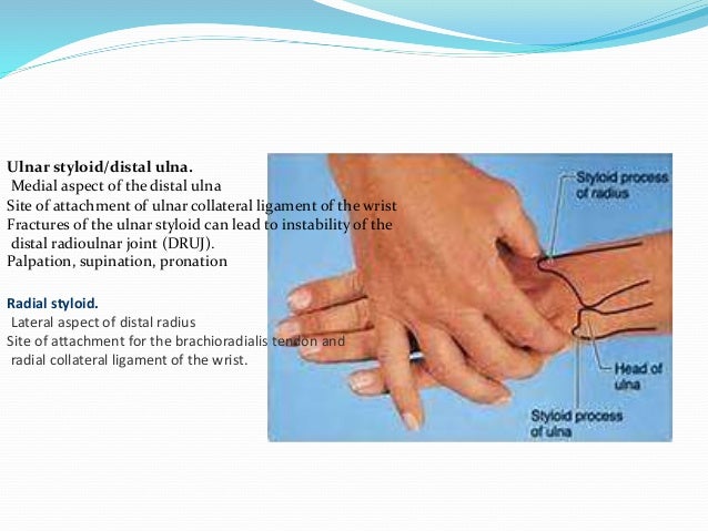 Wrist and hand examination