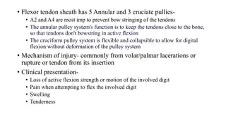 Wrist and Hand Management.pptx