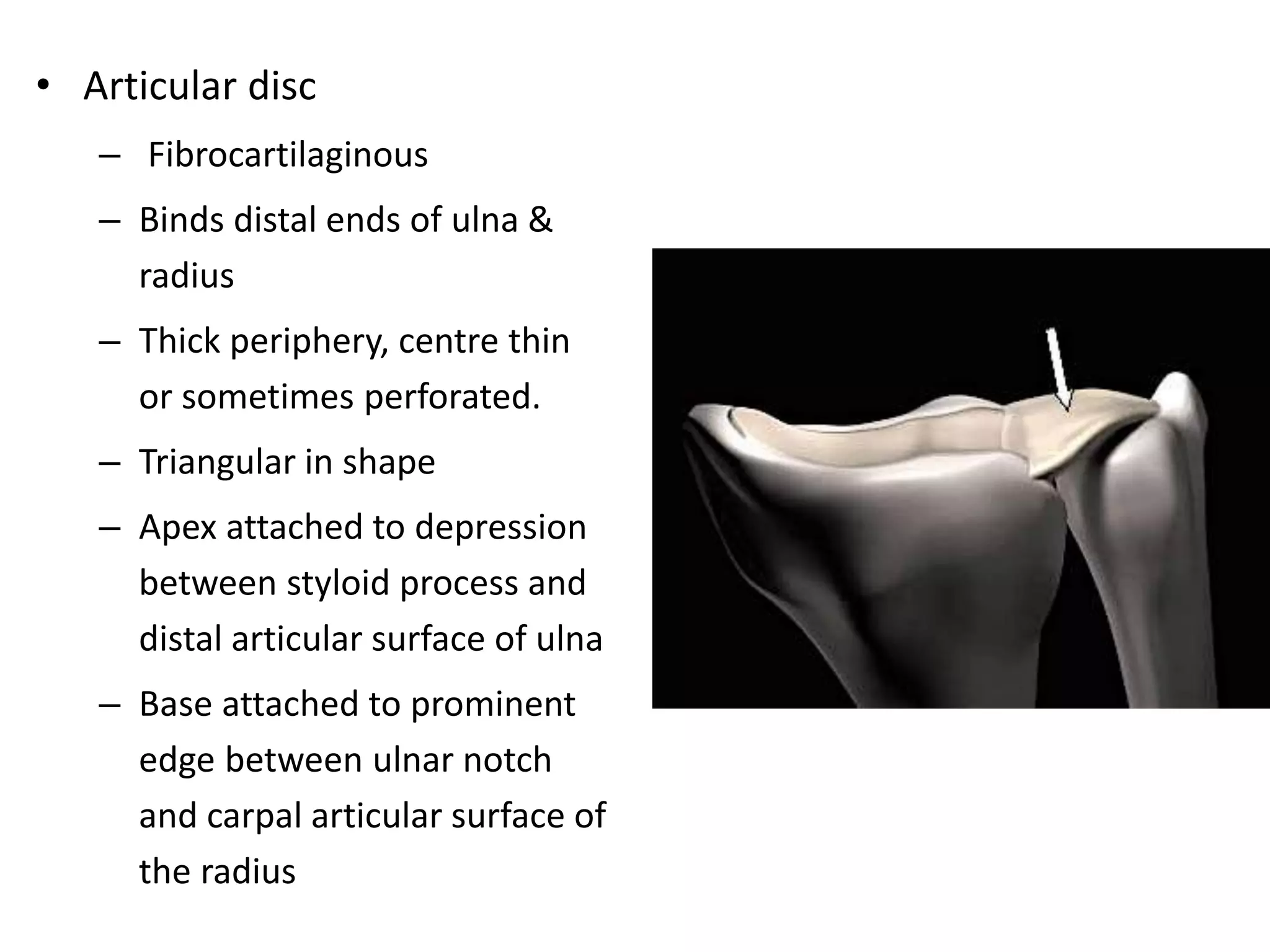 Wrist and radioulnar joints | PPTX