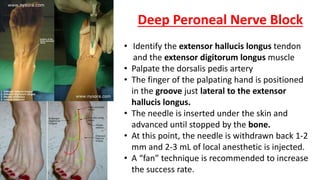 WRIST BLOCK, ANKLE BLOCK HIMANSHU BAXY.pptx