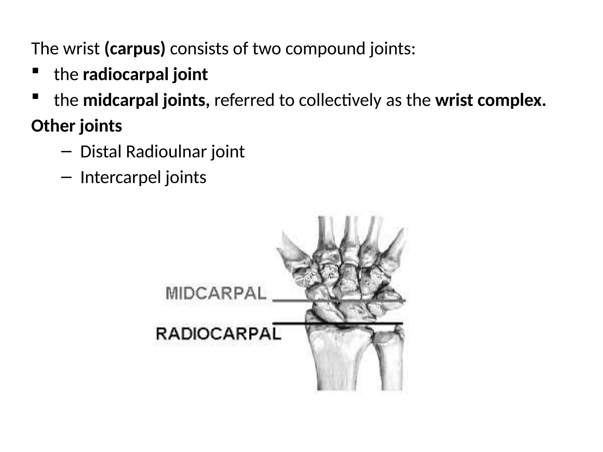 wrist complex-1.pptx by Dr .janaki mpt cardiologist | PPTX