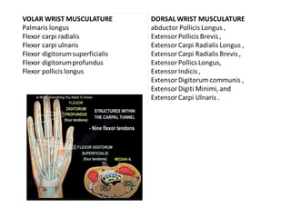 wrist complex-1.pptx by Dr .janaki mpt cardiologist | PPTX