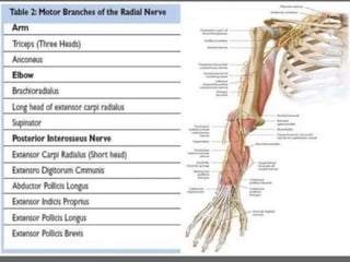 WRIST DROP,FINGERDROP, by parvathy new.pptx