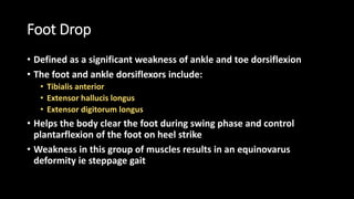 Wrist drops Foot Drops and the Hanging Head | PPT
