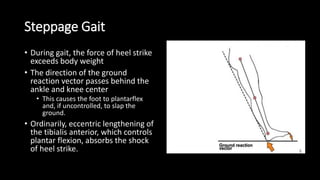Wrist drops Foot Drops and the Hanging Head | PPT