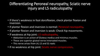 Wrist drops Foot Drops and the Hanging Head | PPT