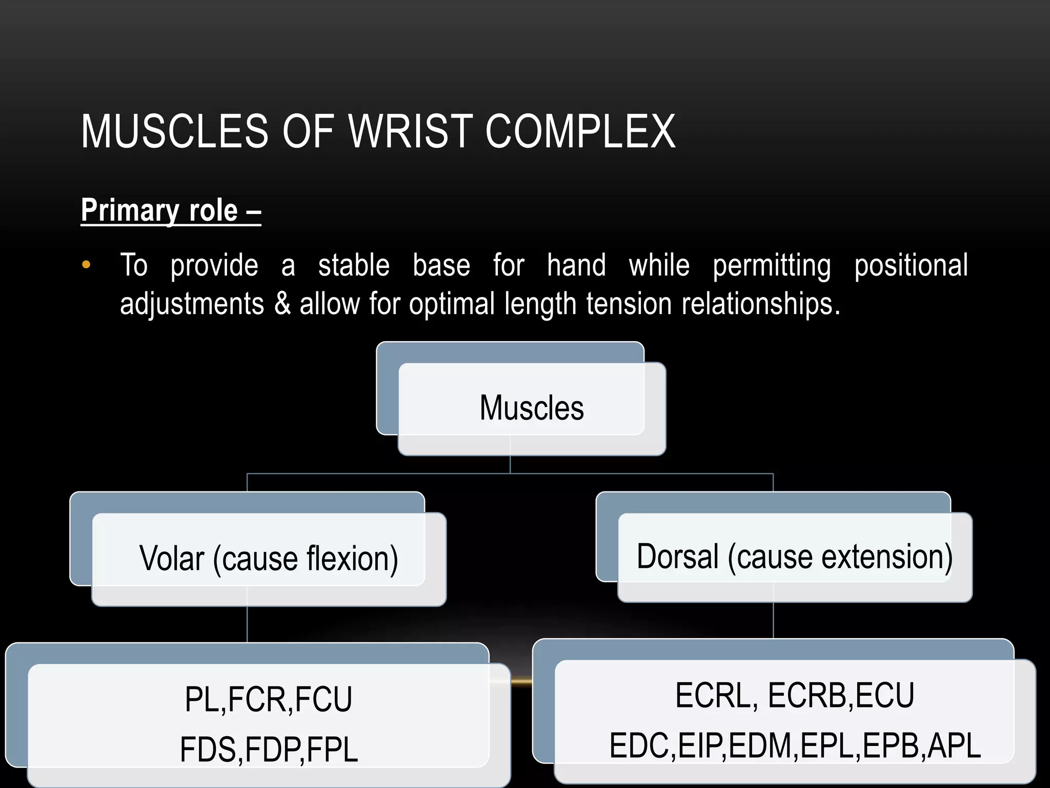 Wrist & hand complex | PPTX