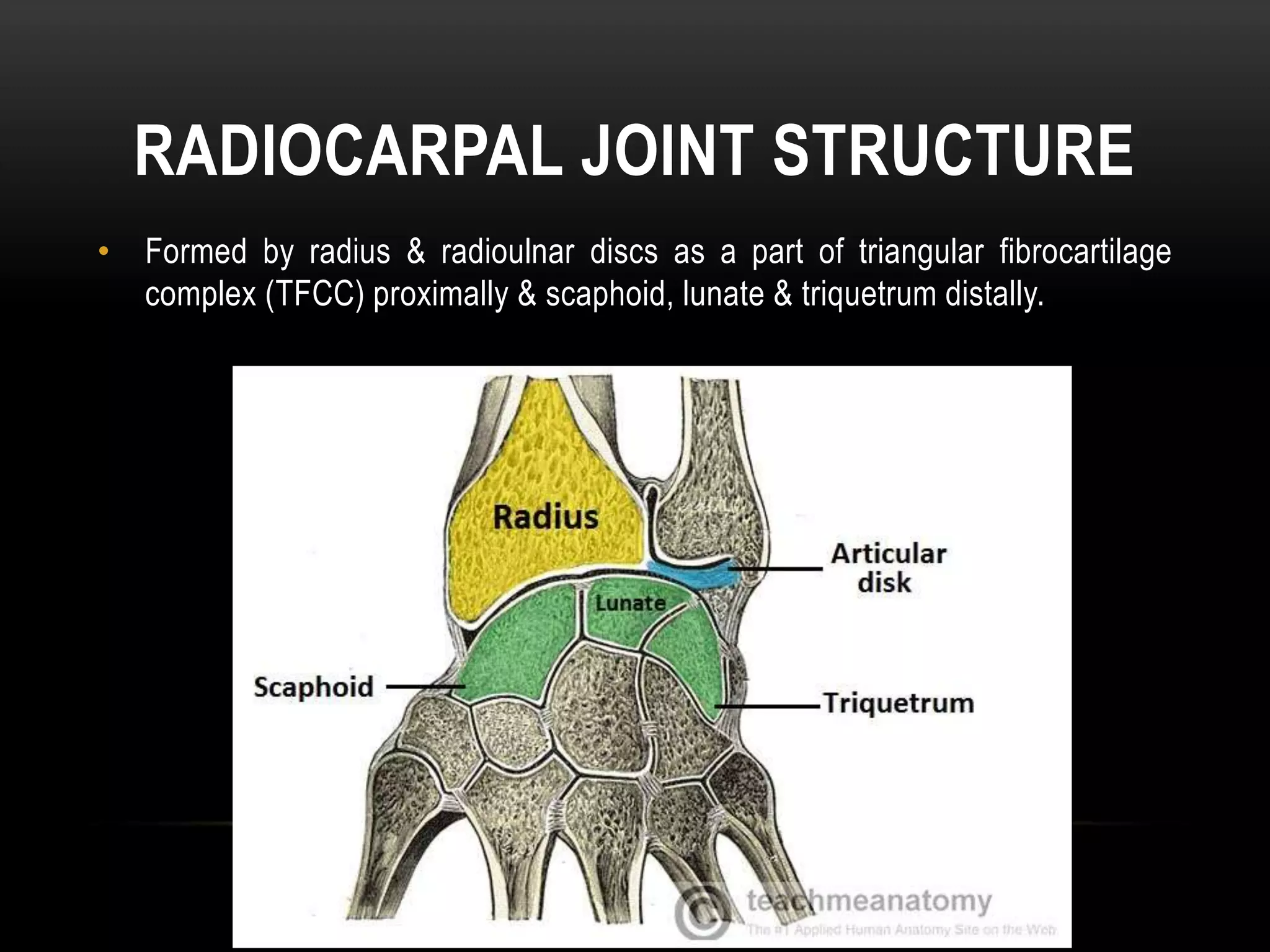 Wrist & hand complex | PPTX