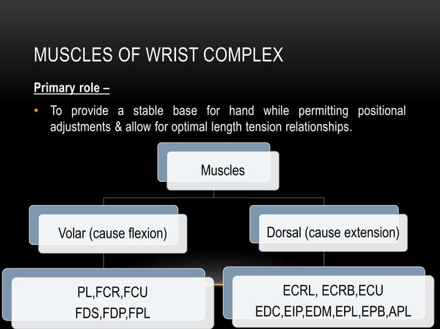 Wrist & hand complex | PPTX
