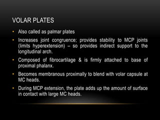 Wrist & hand complex | PPTX