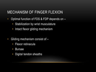 Wrist & hand complex | PPTX