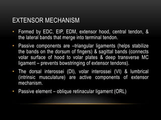 Wrist & hand complex | PPTX