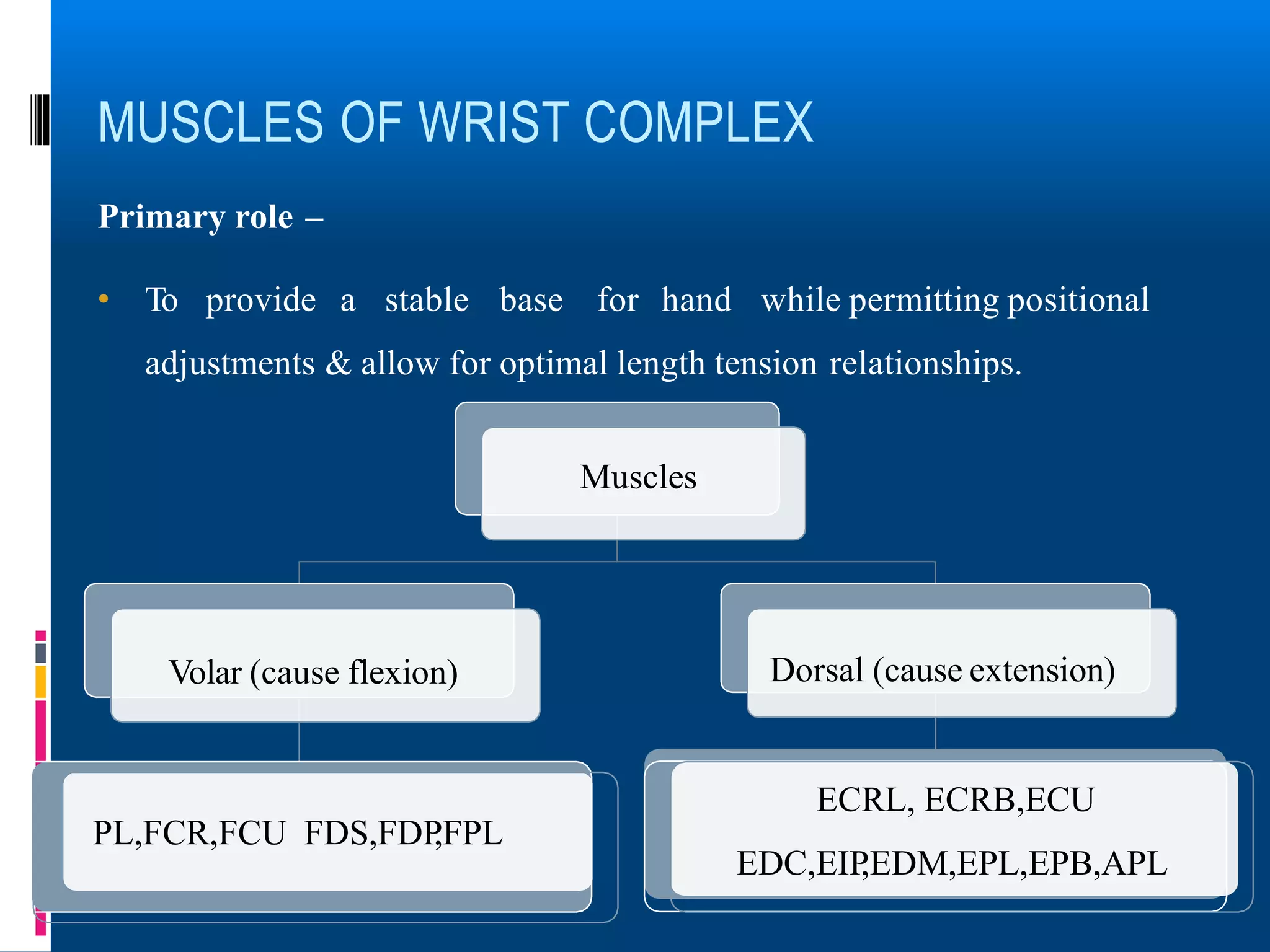 Biomechanics of Wrist and Hand Complex- Dr Gurjant Singh (PT) | PPTX