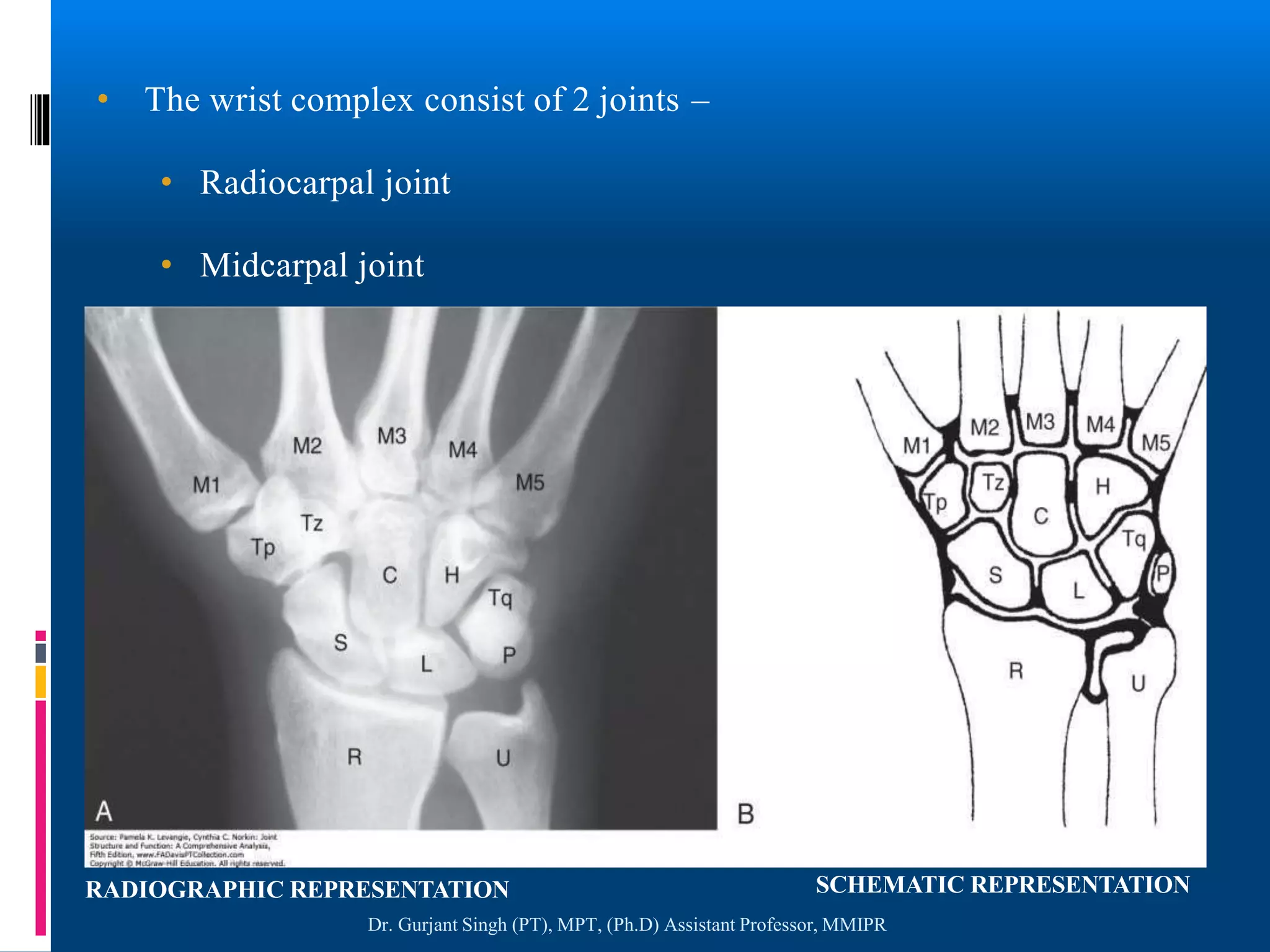Biomechanics of Wrist and Hand Complex- Dr Gurjant Singh (PT) | PPTX