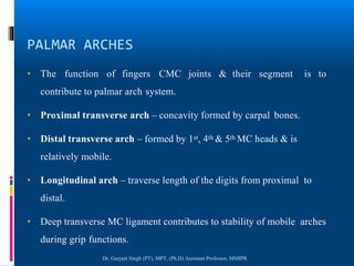 Biomechanics of Wrist and Hand Complex- Dr Gurjant Singh (PT) | PPTX