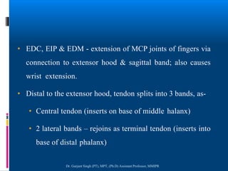 Biomechanics of Wrist and Hand Complex- Dr Gurjant Singh (PT) | PPTX