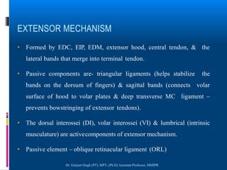 Biomechanics of Wrist and Hand Complex- Dr Gurjant Singh (PT) | PPTX