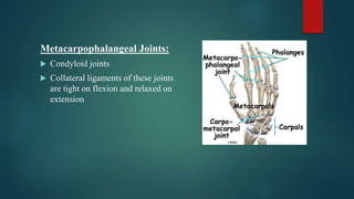 forearm, Wrist, hand joint anatomy & examination | PPTX