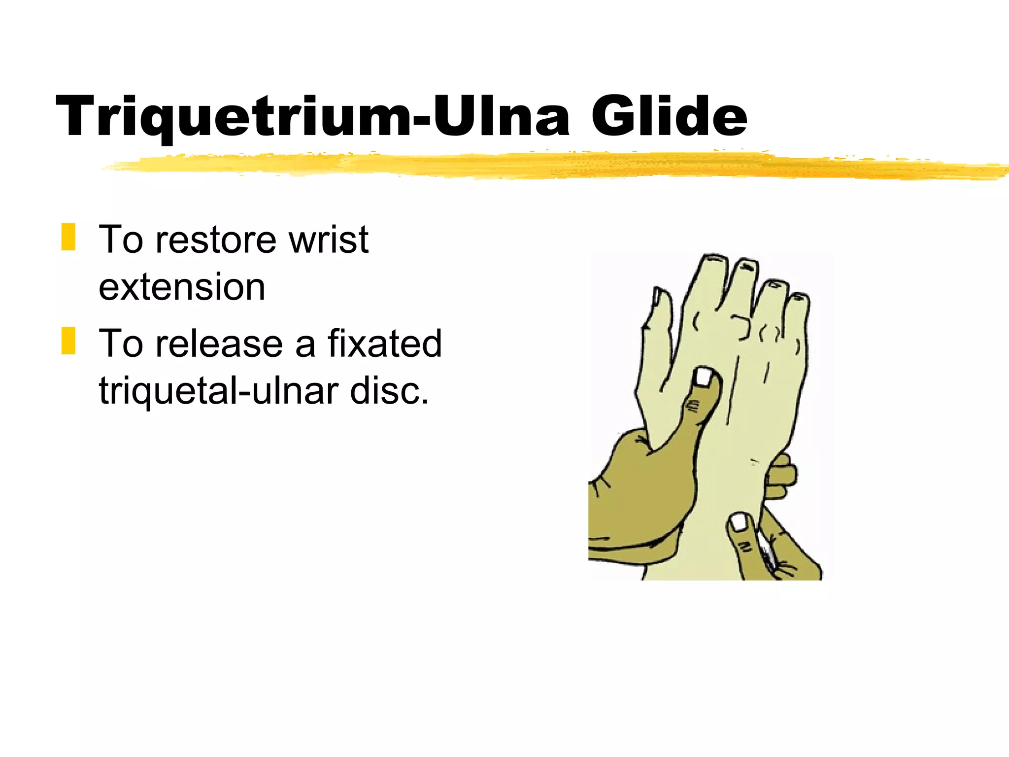 Wrist Hand Presentation | PPT