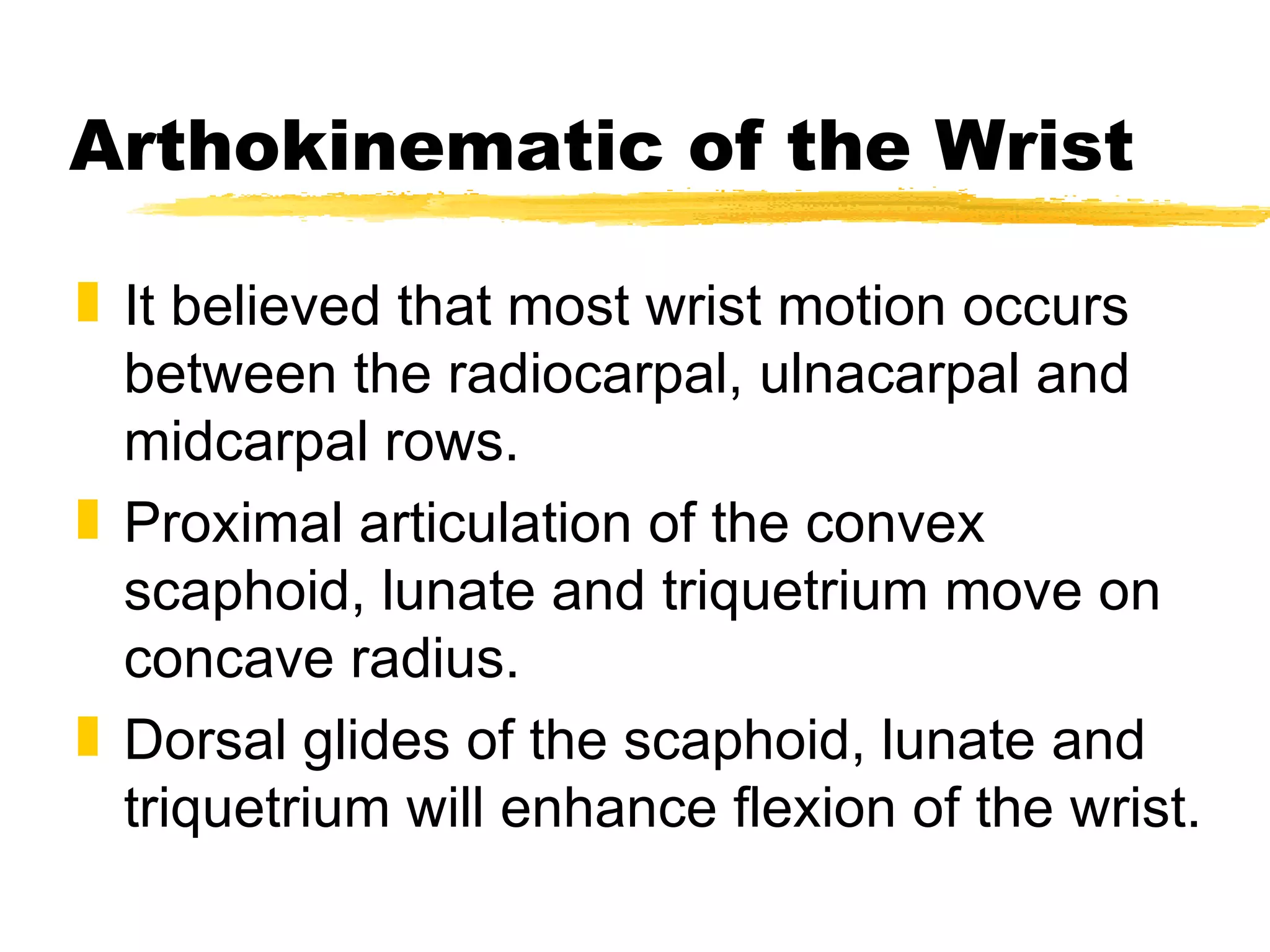 Wrist Hand Presentation | PPT