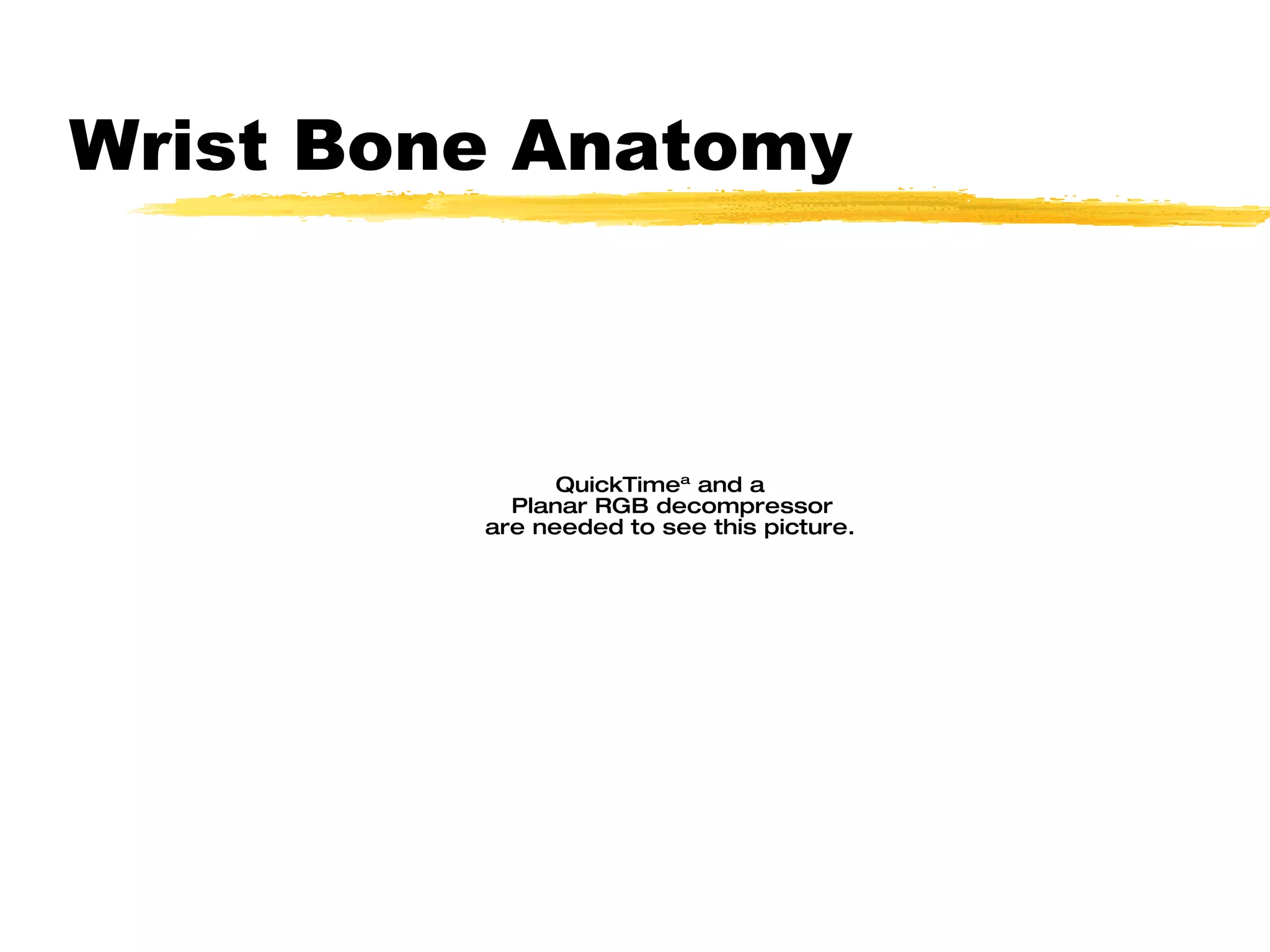 Wrist Hand Presentation | PPT