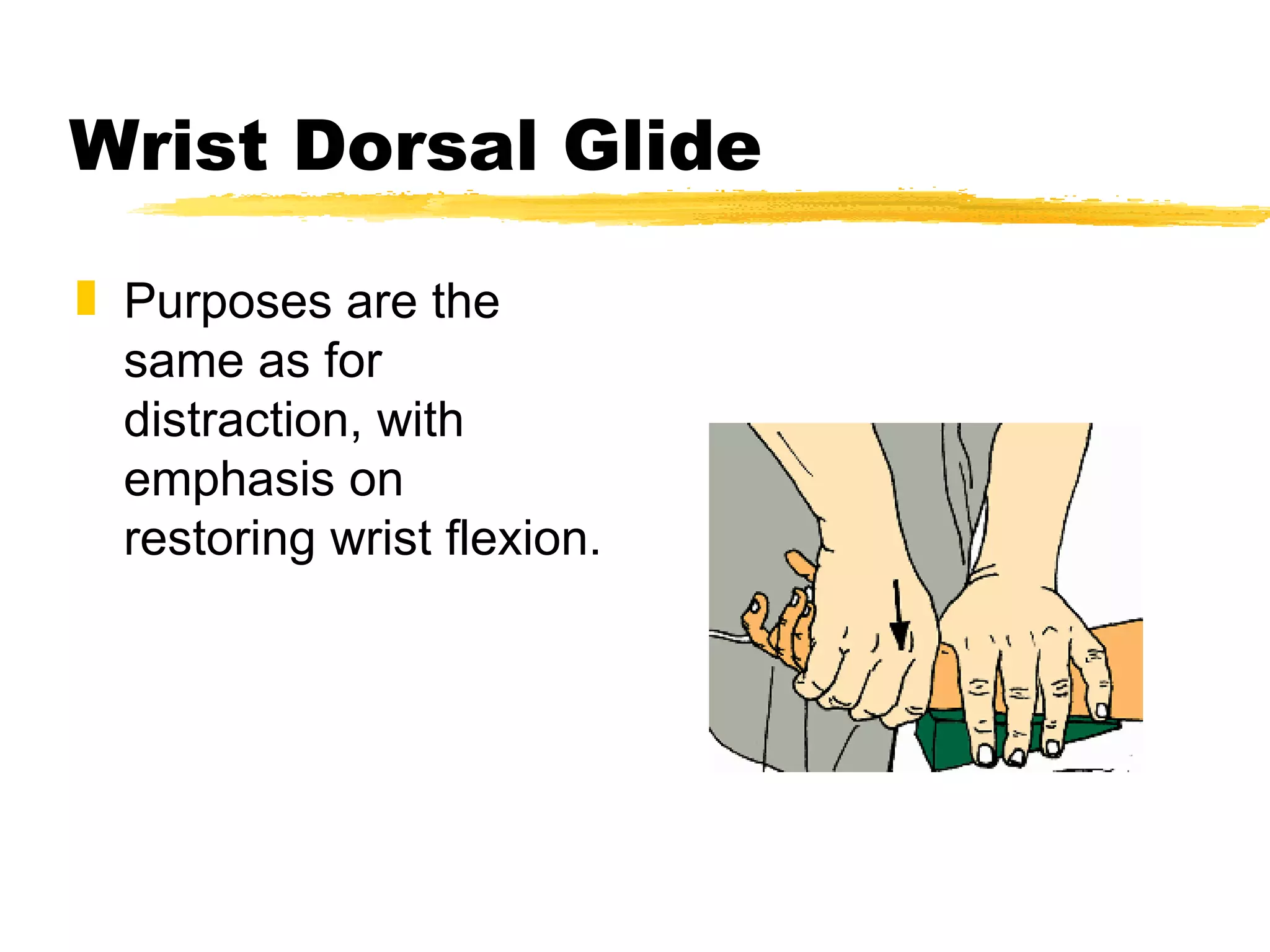 Wrist Hand Presentation | PPT