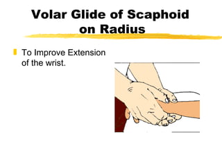 Wrist Hand Presentation | PPT