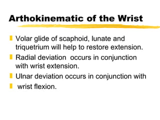 Wrist Hand Presentation | PPT