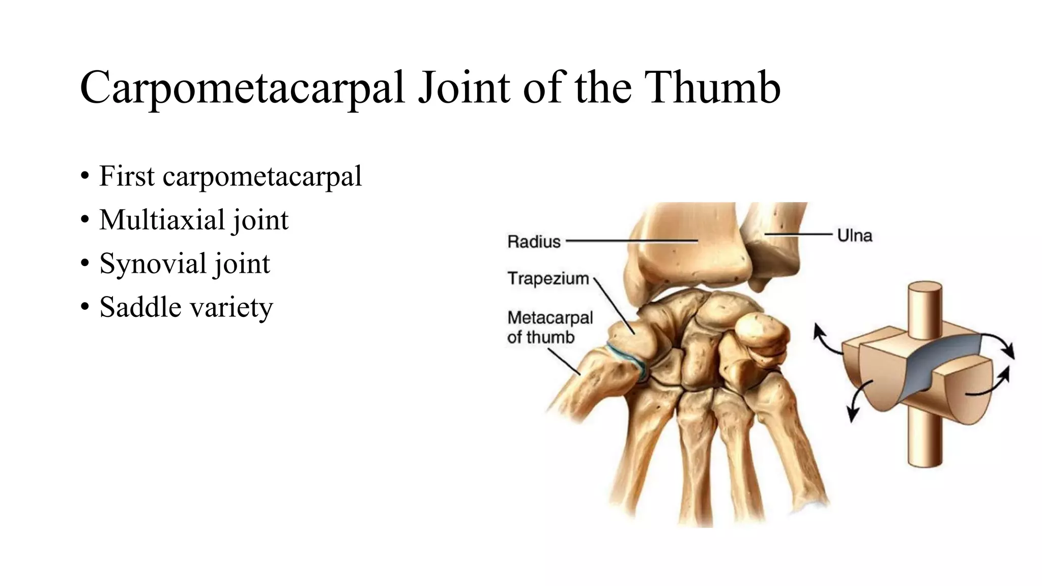 Wrist & I carpometacarpal.pptx
