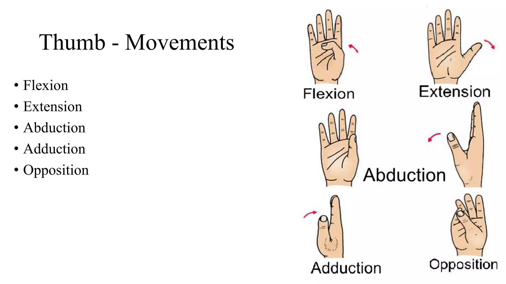 Wrist & I carpometacarpal.pptx