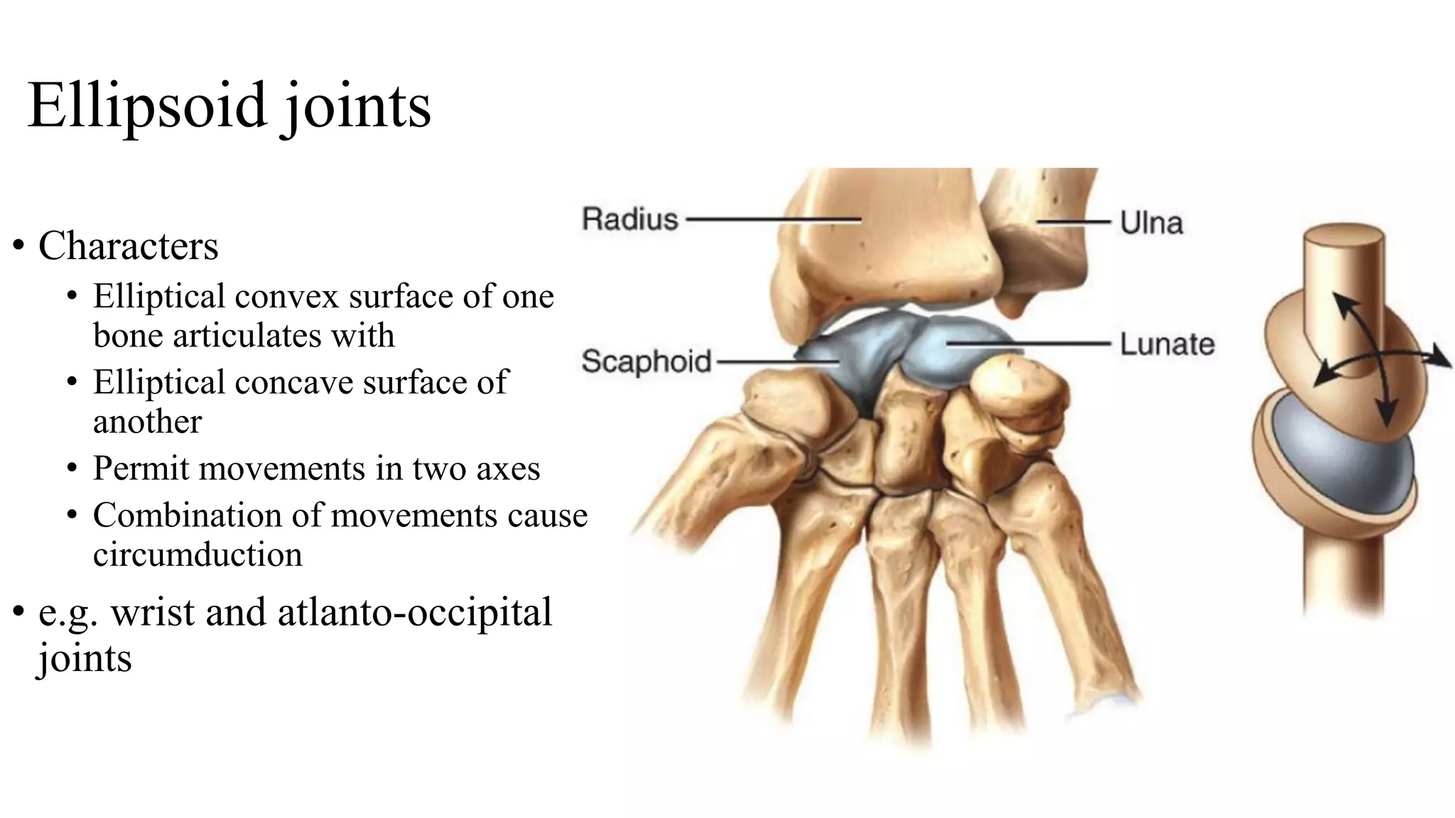 Wrist & I carpometacarpal.pptx