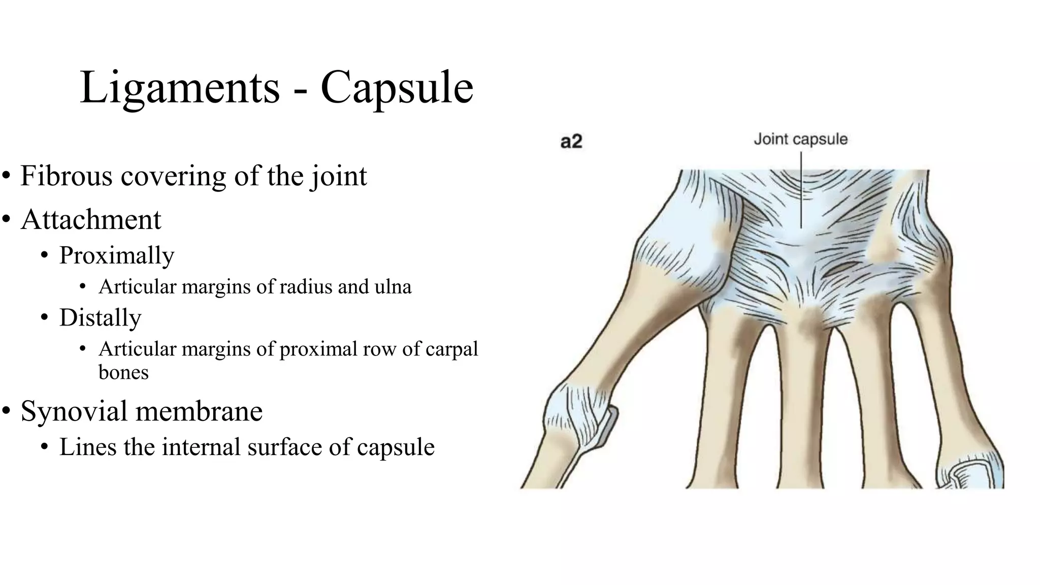 Wrist & I carpometacarpal.pptx