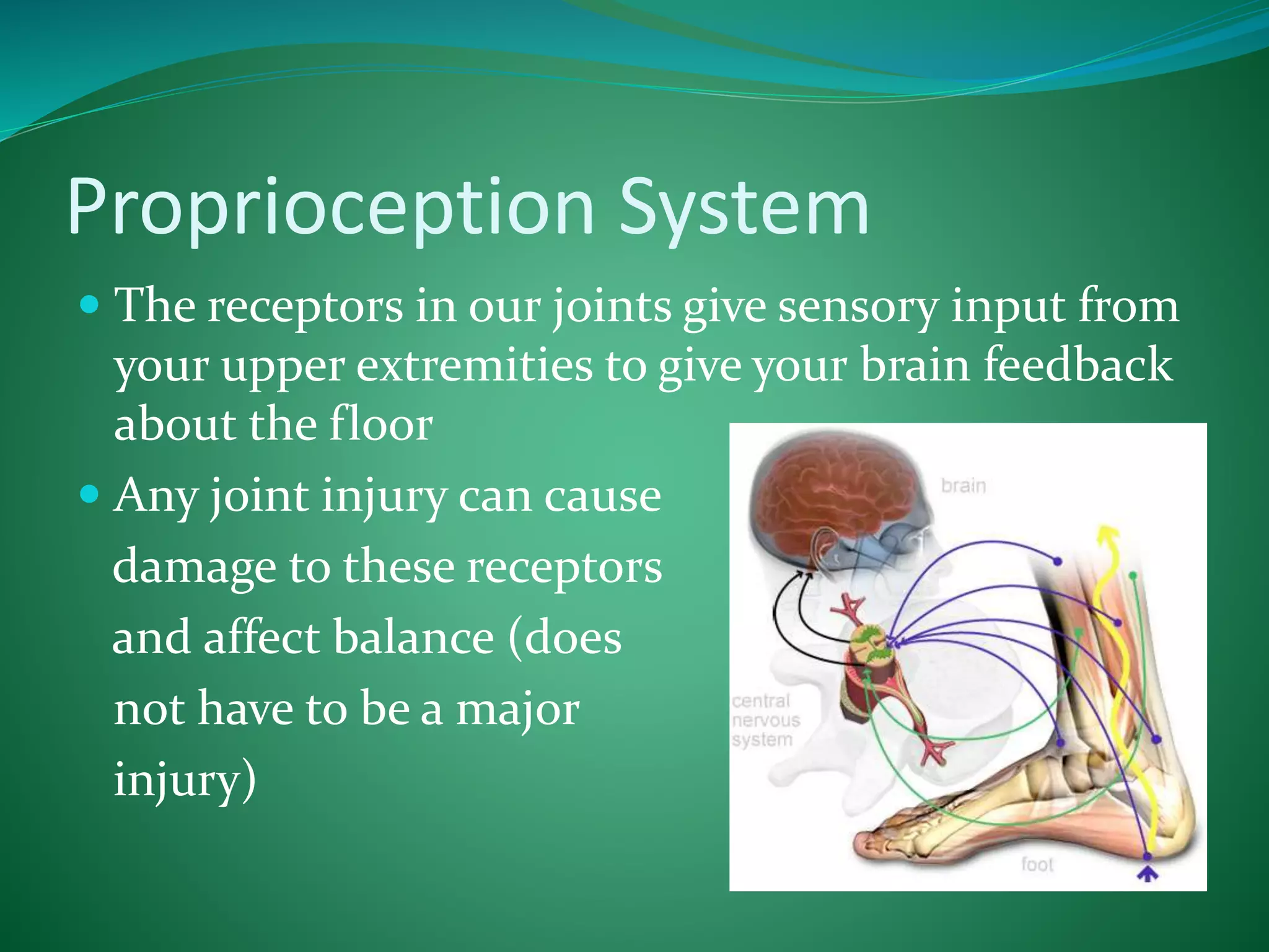 Wrist Injury Prevention In The Gym | PPTX