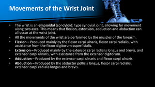 Anatomy Of Wrist joint | PPTX