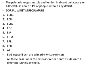 wrist joint anatomy and biomechanics.pptx