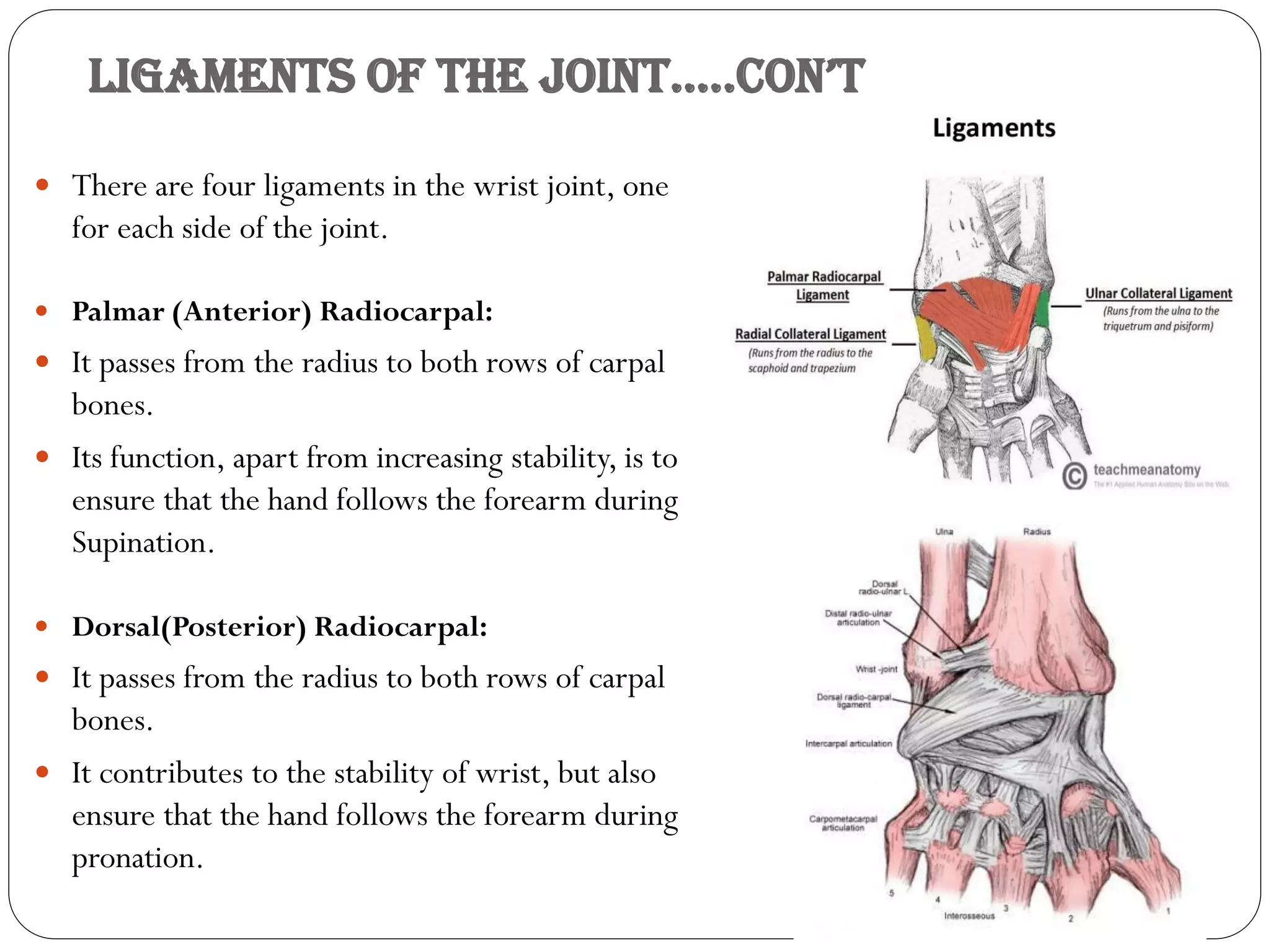 Wrist Joint.....2021.pdf