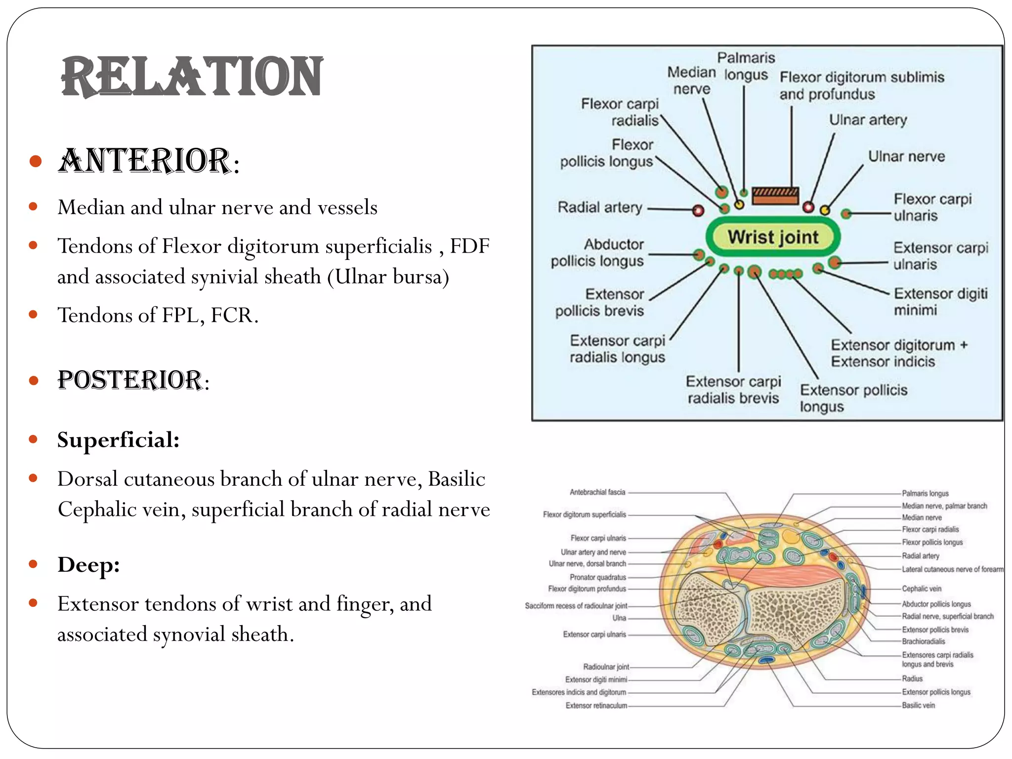 Wrist Joint.....2021.pdf