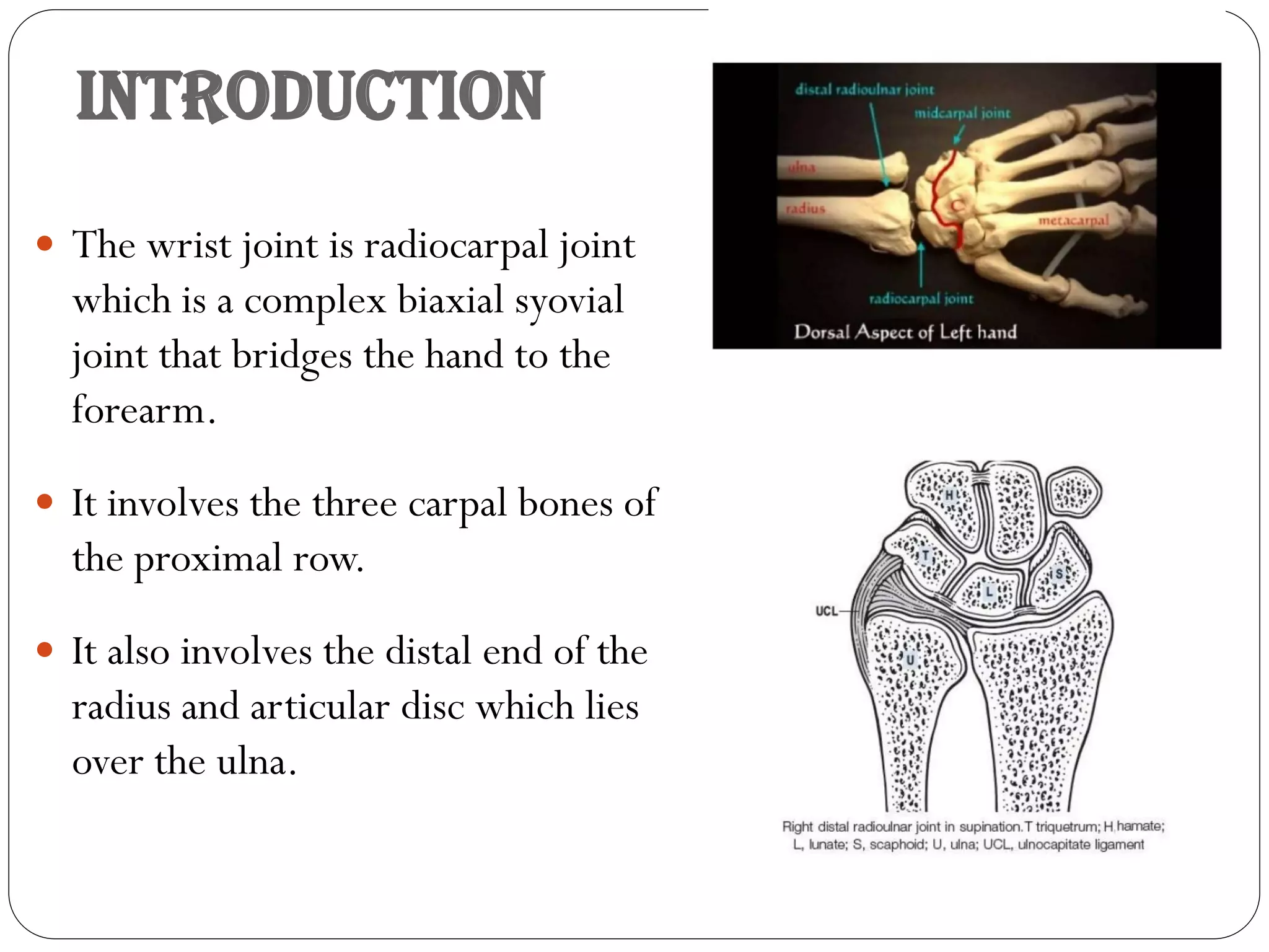 Wrist Joint.....2021.pdf
