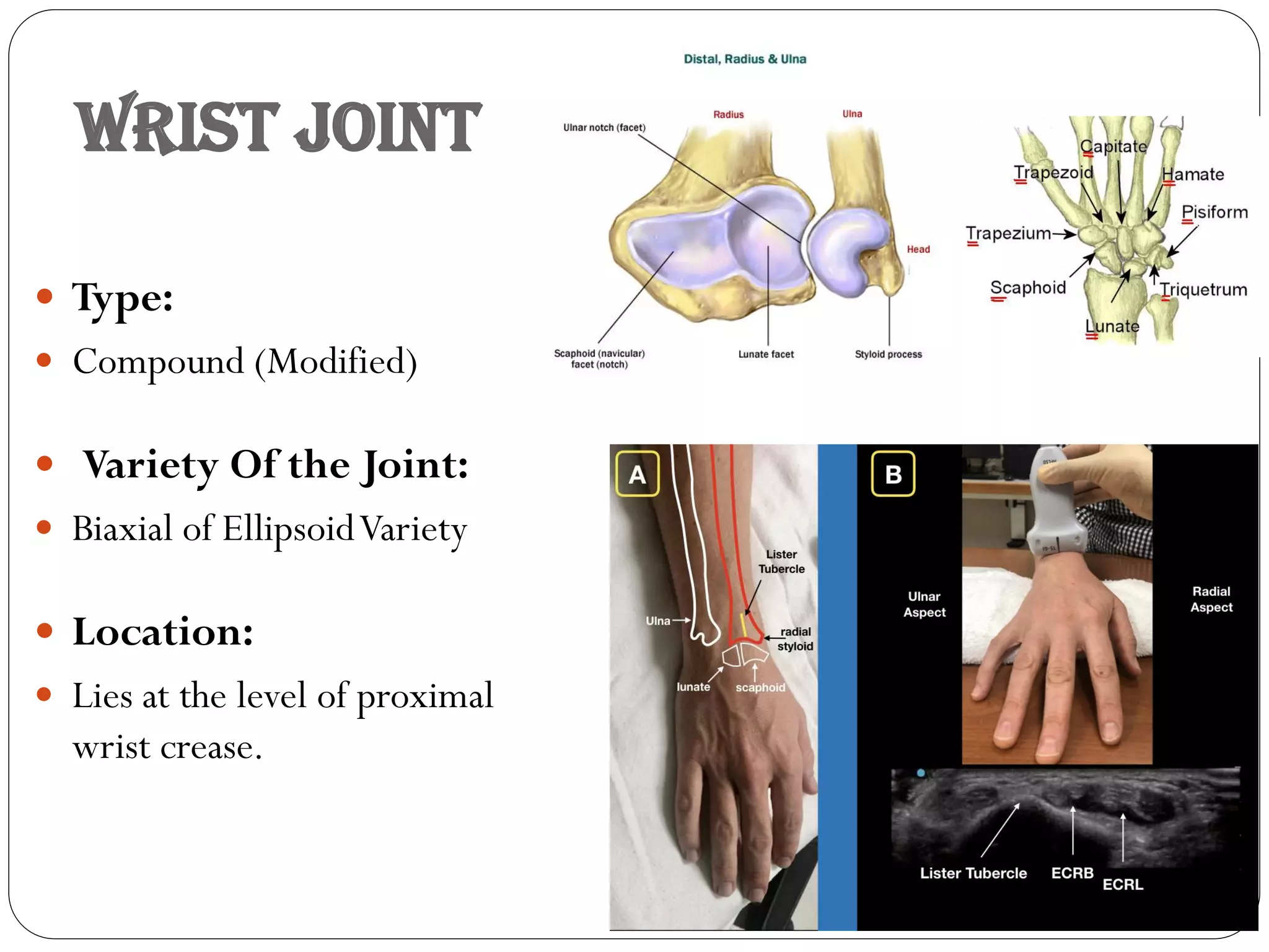 Wrist Joint.....2021.pdf