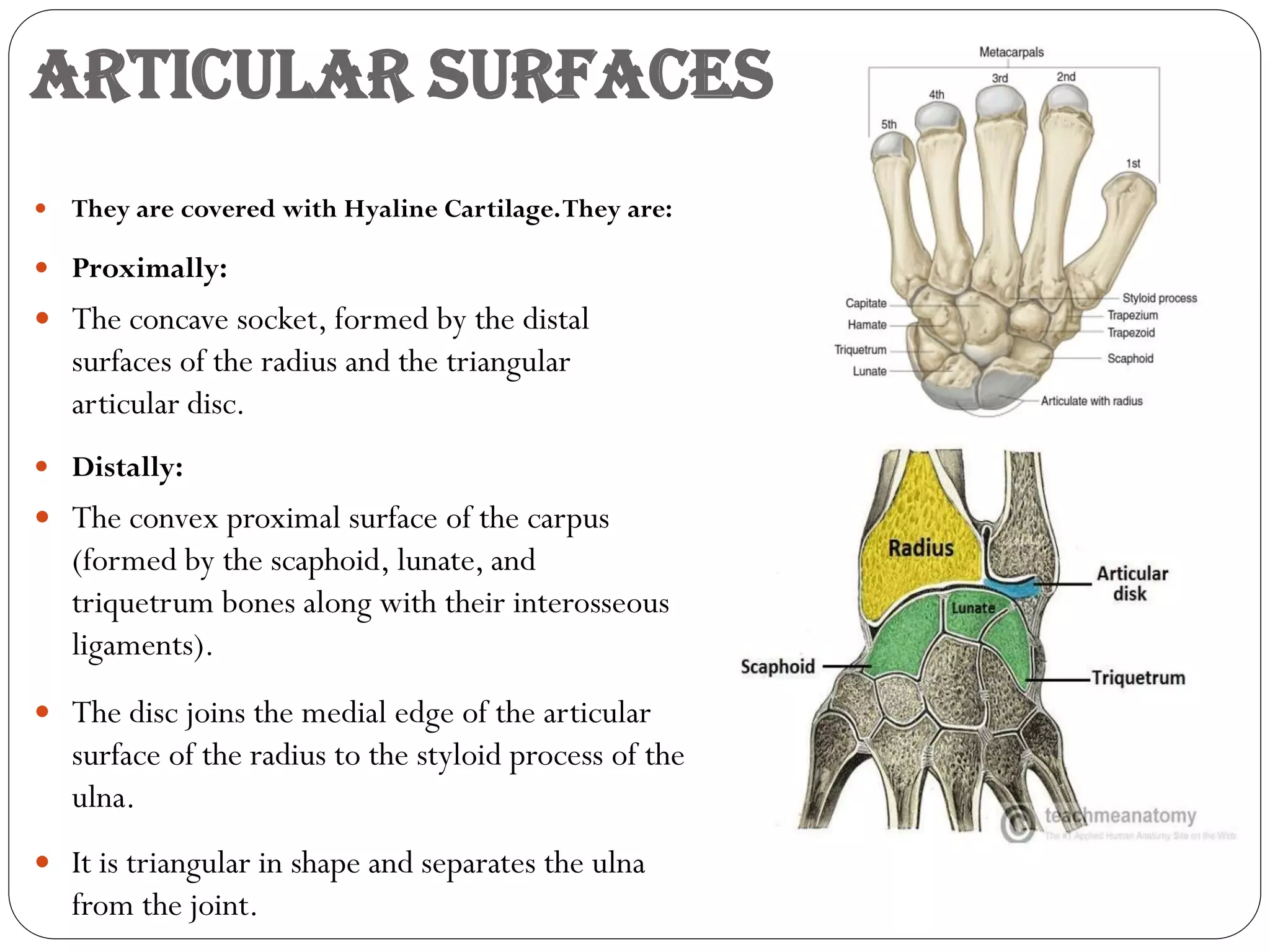 Wrist Joint.....2021.pdf